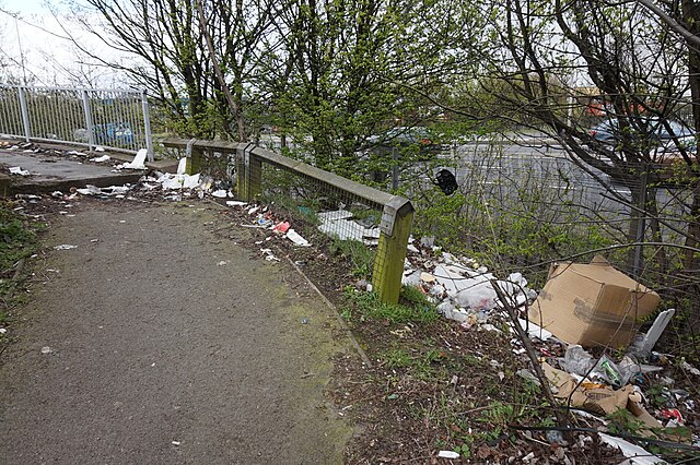 A Closer Look At What Litter Really Does To The Environment - Modern ...